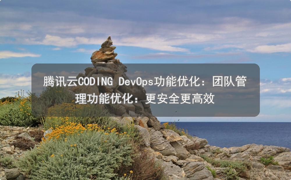 腾讯云CODING DevOps功能优化：团队管理功能优化 - 阿狸测试